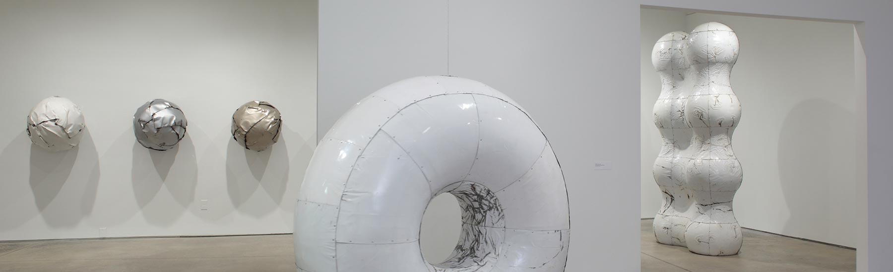 Hoss Haley - Visual Arts Center of Richmond