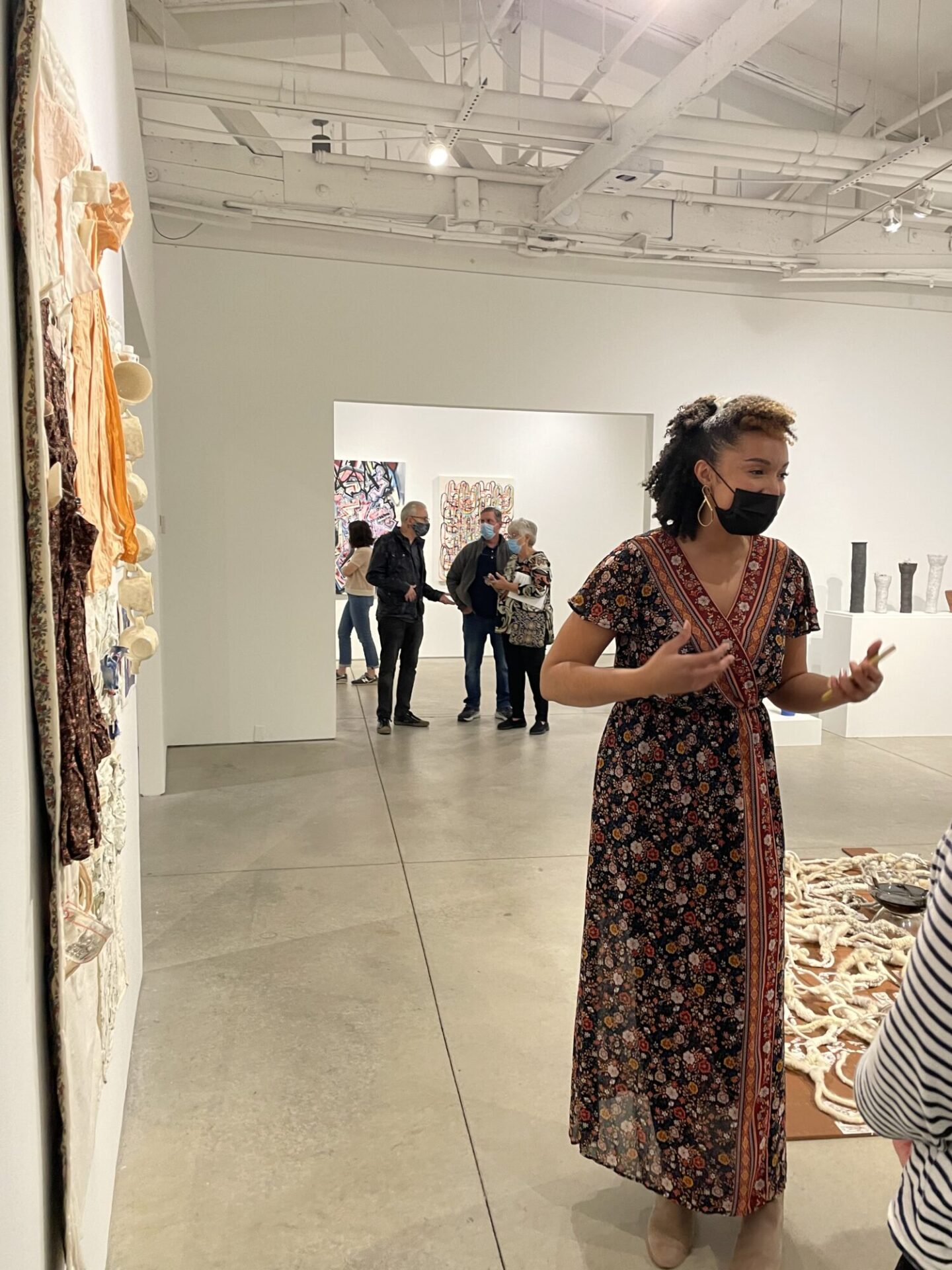 VisArts Resident Artist Exhibition Celebrates Diverse Mediums in a Week ...
