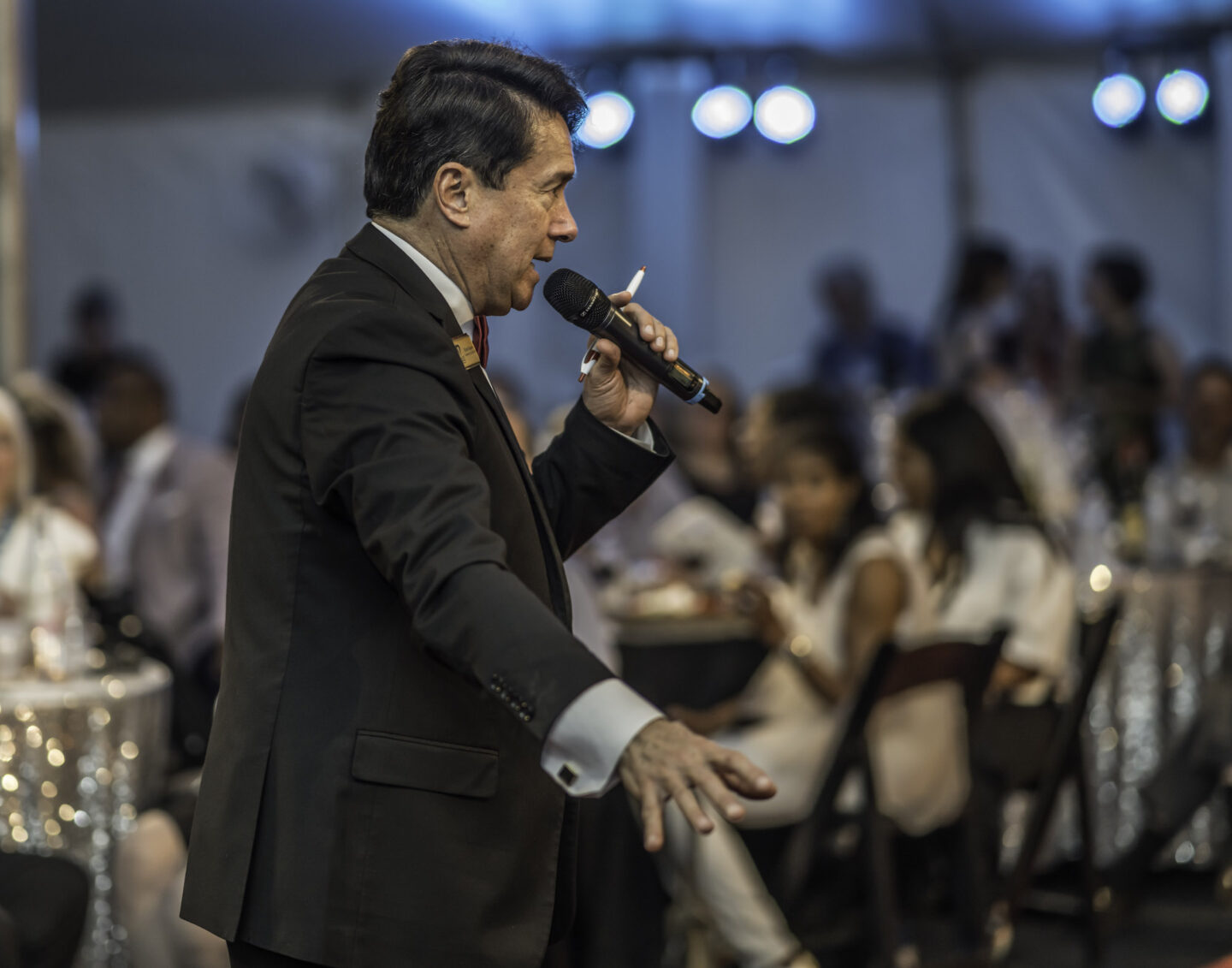 VisArts Collectors' Night Celebrates 60 Years of Artistic Excellence ...